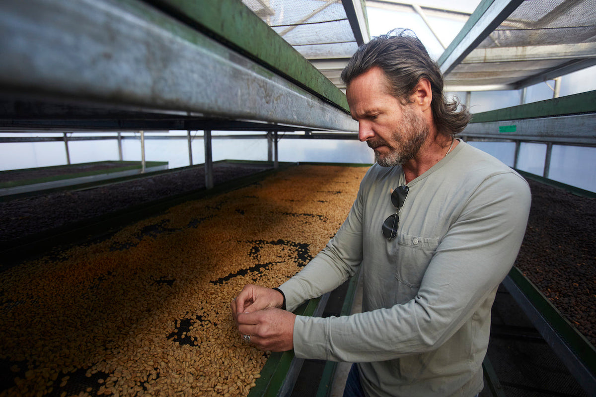 Savage Coffees - Partner Roasters | MORNING – Morning Europe